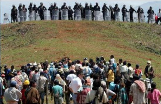 Colombia: Algunas lecciones de 6 días de Minga | Biodiversidad en ...