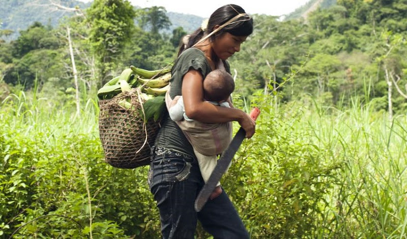 Ecuador - Pueblo Shuar Arutam: Carta al país y al mundo | Biodiversidad ...