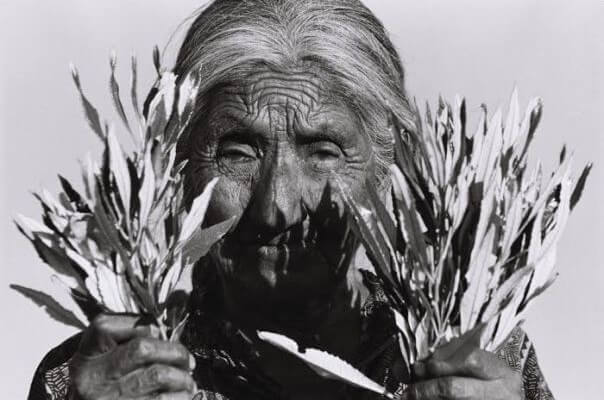 México: La lucha por la memoria y la tierra del pueblo cochimi ...