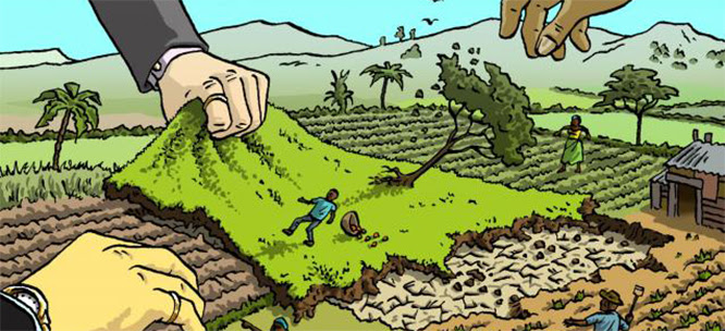 Economía con la naturaleza | Biodiversidad en América Latina