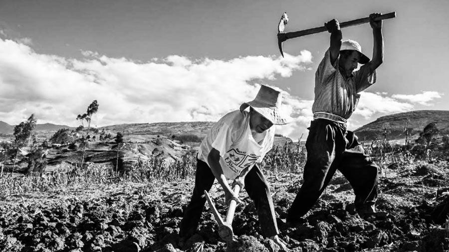 “Derechos Campesinos son Derechos Humanos “Derechos Campesinos son Derechos Humanos