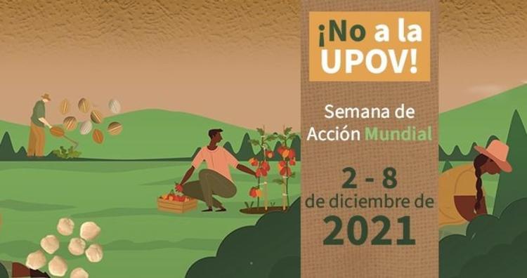 UPOV: 60 años de más | Biodiversidad en América Latina